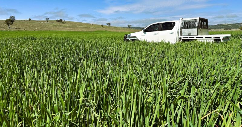 Outstanding Dhu Robin delivers premium farming, livestock results ...