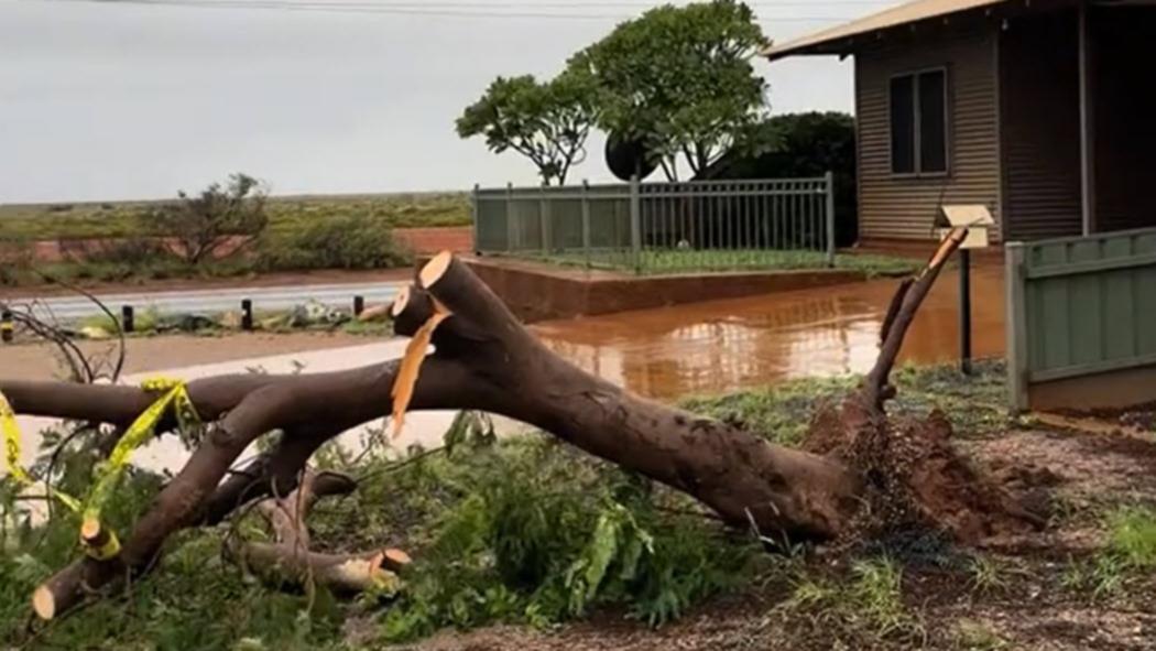 Cyclone Zelia: What does a category five cyclone mean and what does ...