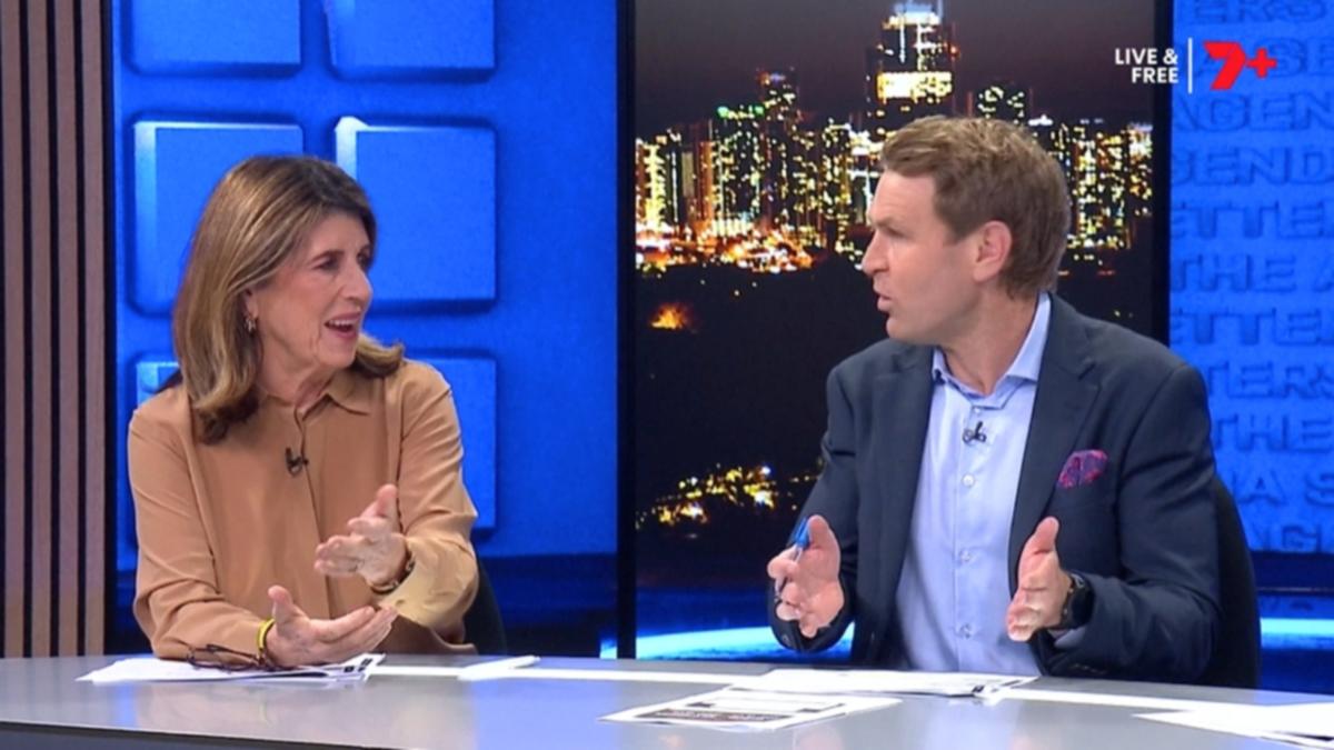 Kane Cornes and Caroline Wilson clash over North Melbourne in heated ...