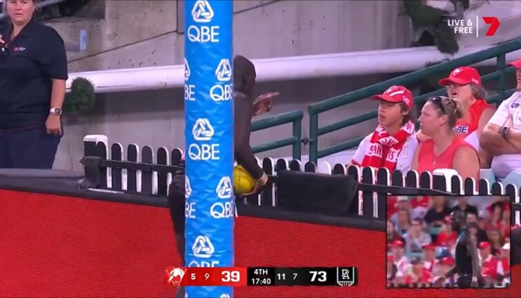 Emotional radio plea for 'stupid kid' after Swans fan ejected for ugly ...