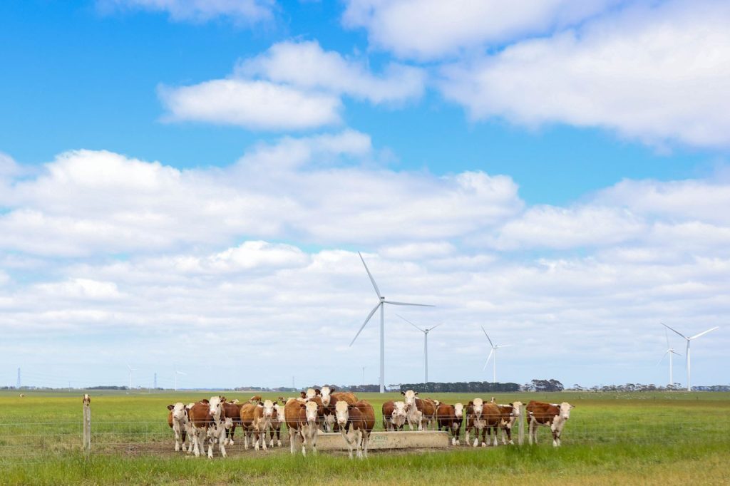 Victoria fast-tracks approval of big battery next to two new wind farms ...