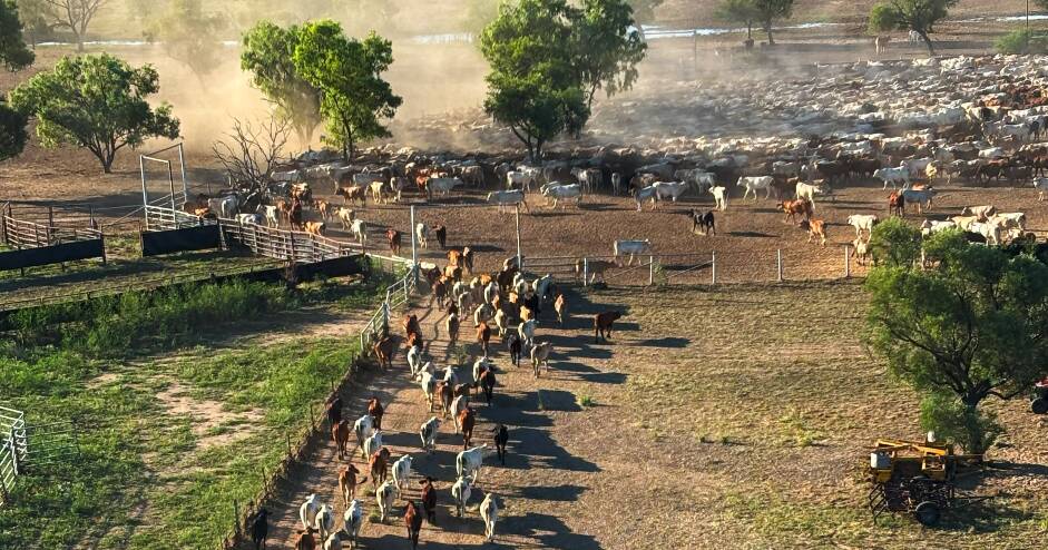 Hughes family secures Millungera in ongoing Wagyu expansion | Video ...