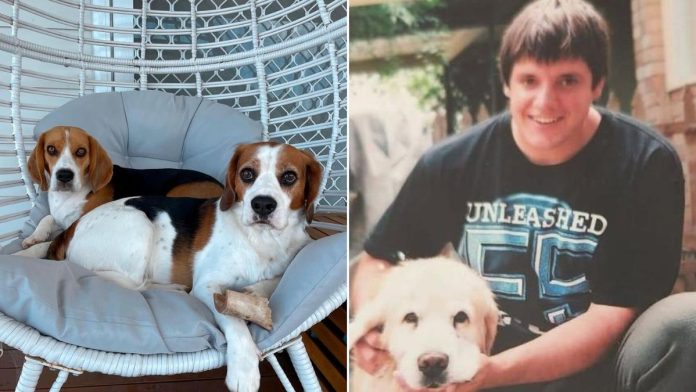 Beagle discovers missing head of alleged murder victim Julian Story ...