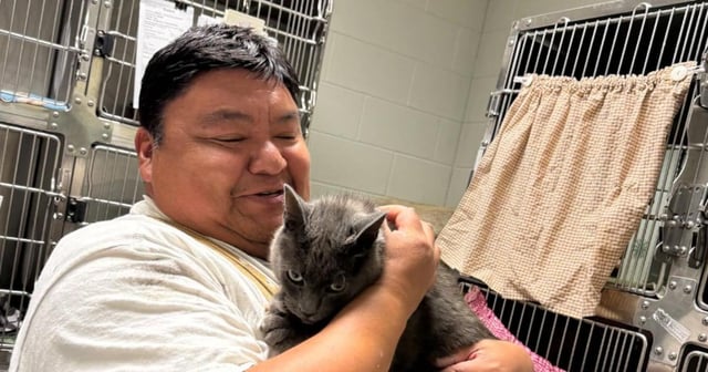 Missing kitty reunited with family after year-long disappearance ...