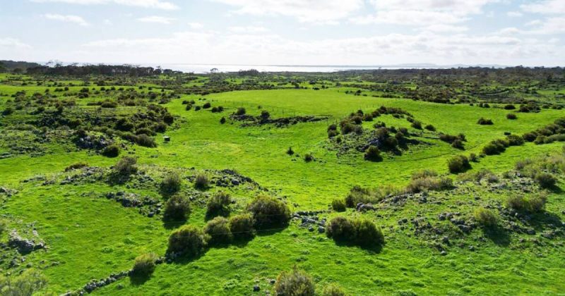 Cattle property surge: Two Victorian farms listed for sale. | Farm ...