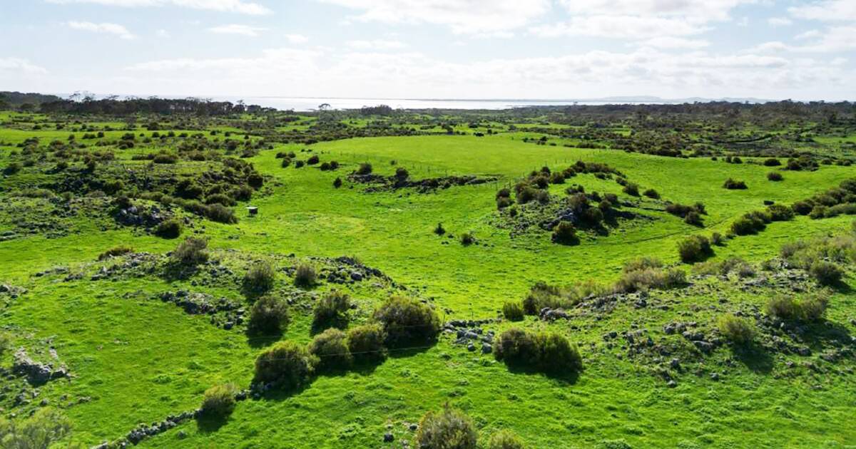 Cattle property surge: Two Victorian farms listed for sale. | Farm ...