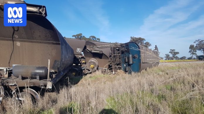Freight train derails after collision with sheep truck at Bribbaree ...