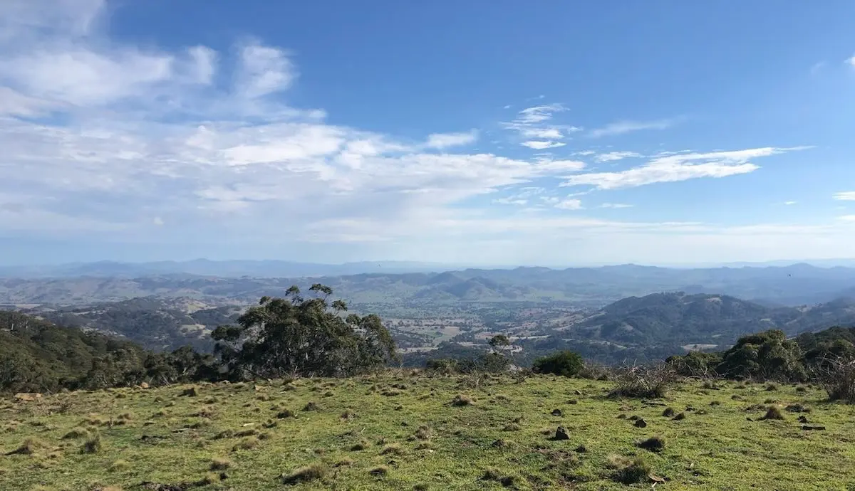 Australian developer buys contested wind project, takes up fight ...