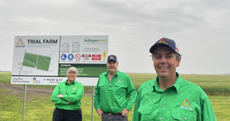 Growing bigger: Australia's big regen ag trial sets national agenda ...