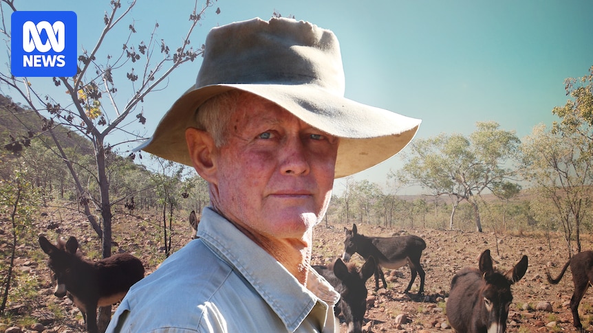 State Administrative Tribunal upholds donkey cull notice at remote ...
