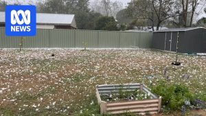 Large hail and strong winds as severe thunderstorm hits south-east ...