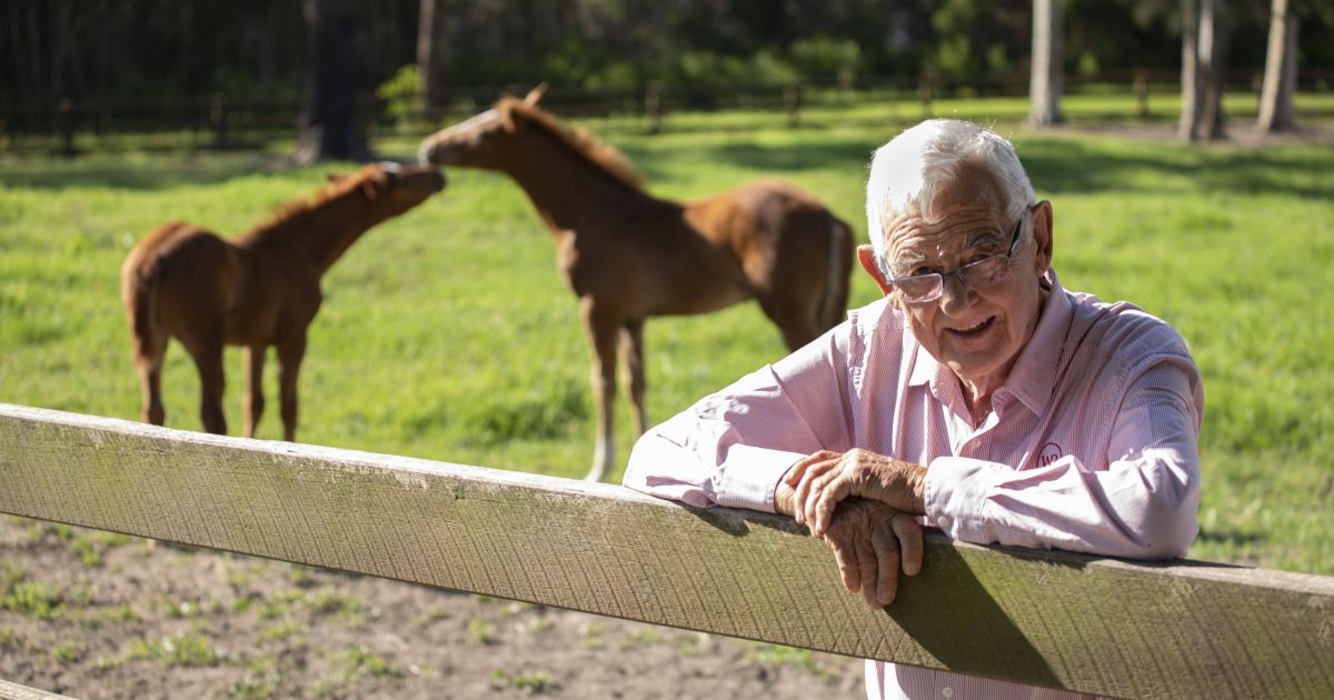 Billionaire Terry Snow's South Coast legacy goes up for sale ...
