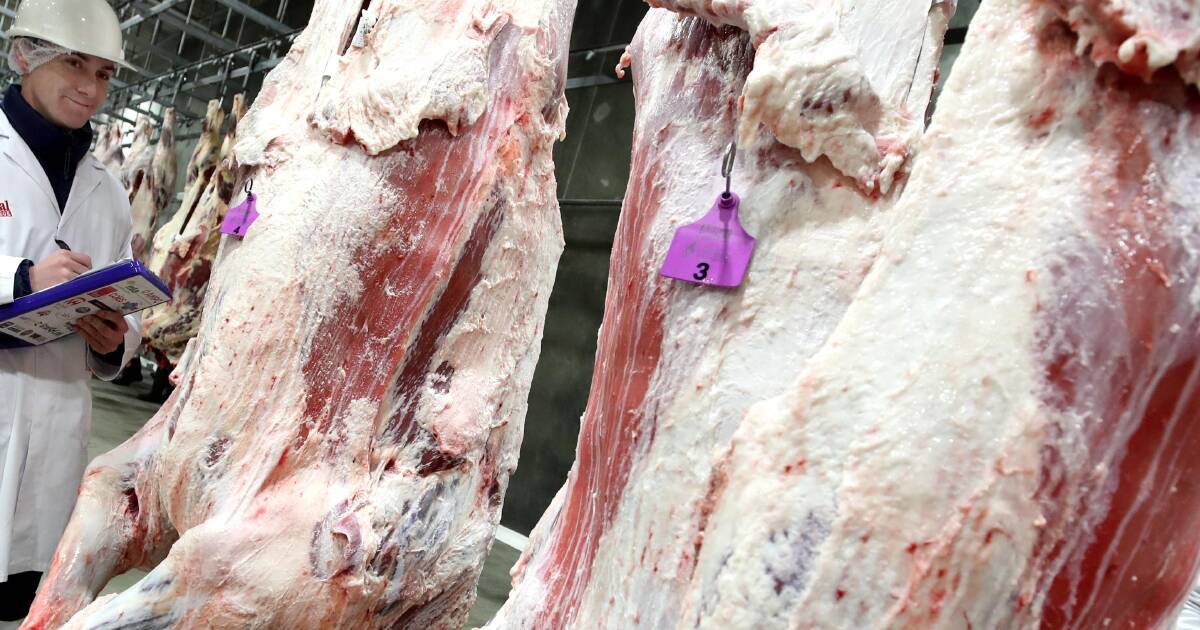 Cargill confirms abattoir business takeover after receiving ACCC ...