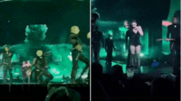 Lady Gaga forced to stop Sydney show after Australian dancer Michael ...