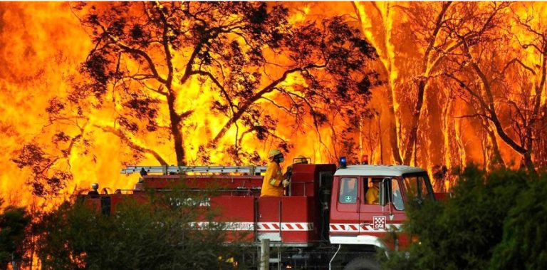 Harcourt Bushfire Benefit Share the Love Valentine’s Day Concert ...