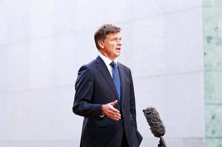 One Nation is chasing the Coalition in the right direction - Australian ...