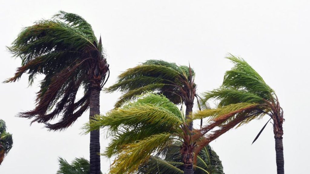 Tropical cyclone could form off Vanuatu, while ex-tropical cyclone Koji ...