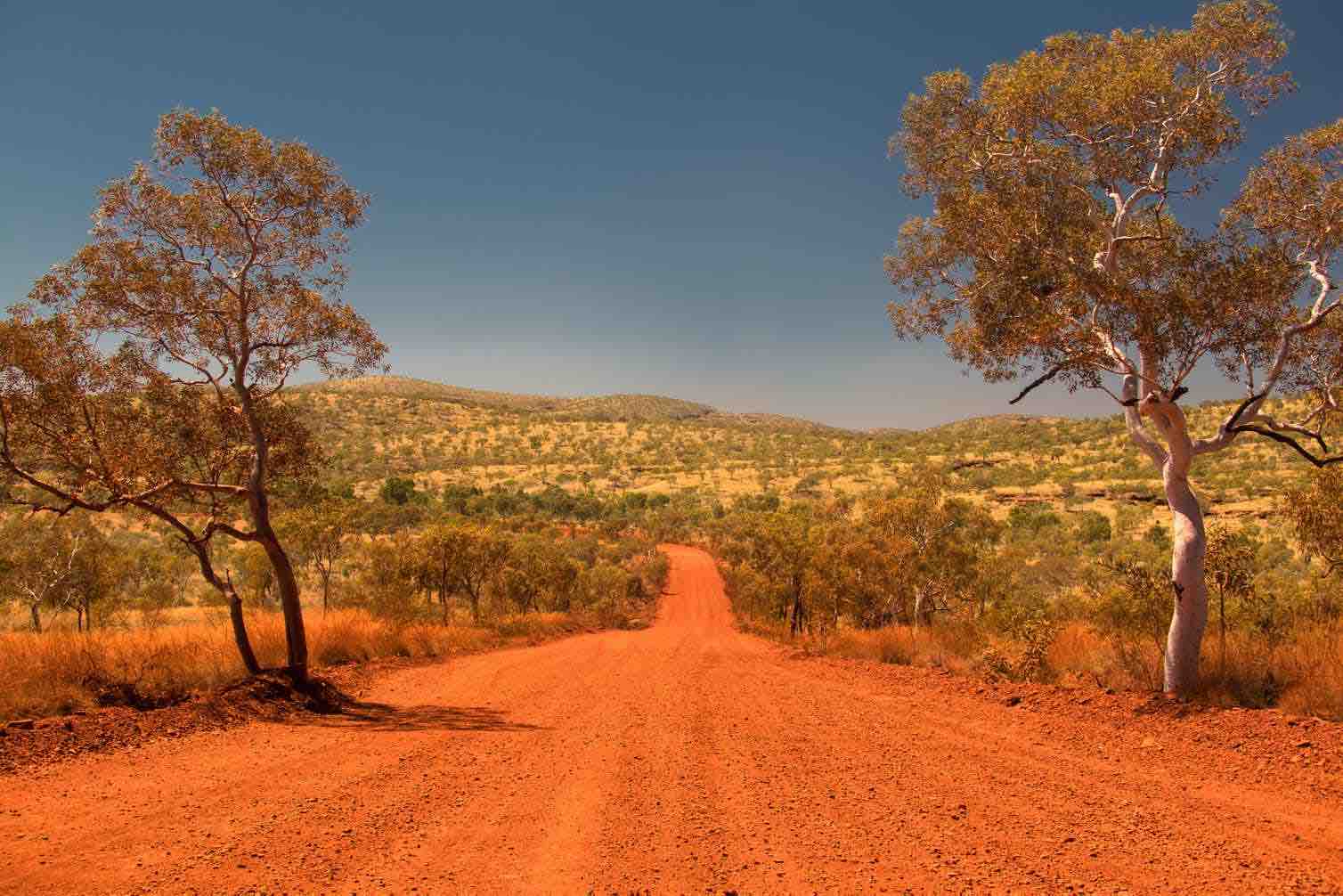 Fortescue faces new scrap over fence line for its massive Bonney Downs ...