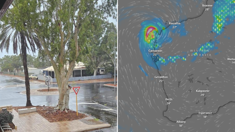 Storm warnings persist as Tropical Cyclone Mitchell downgraded to ...