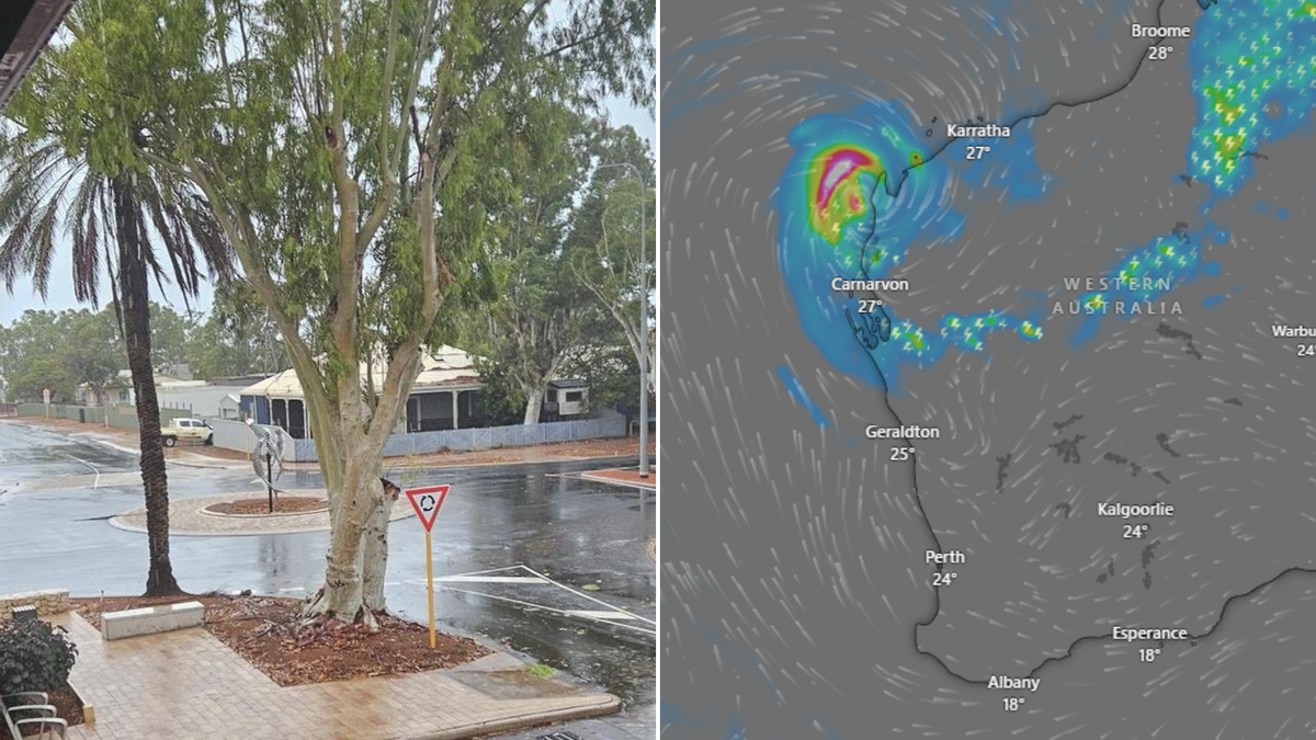 Storm warnings persist as Tropical Cyclone Mitchell downgraded to ...