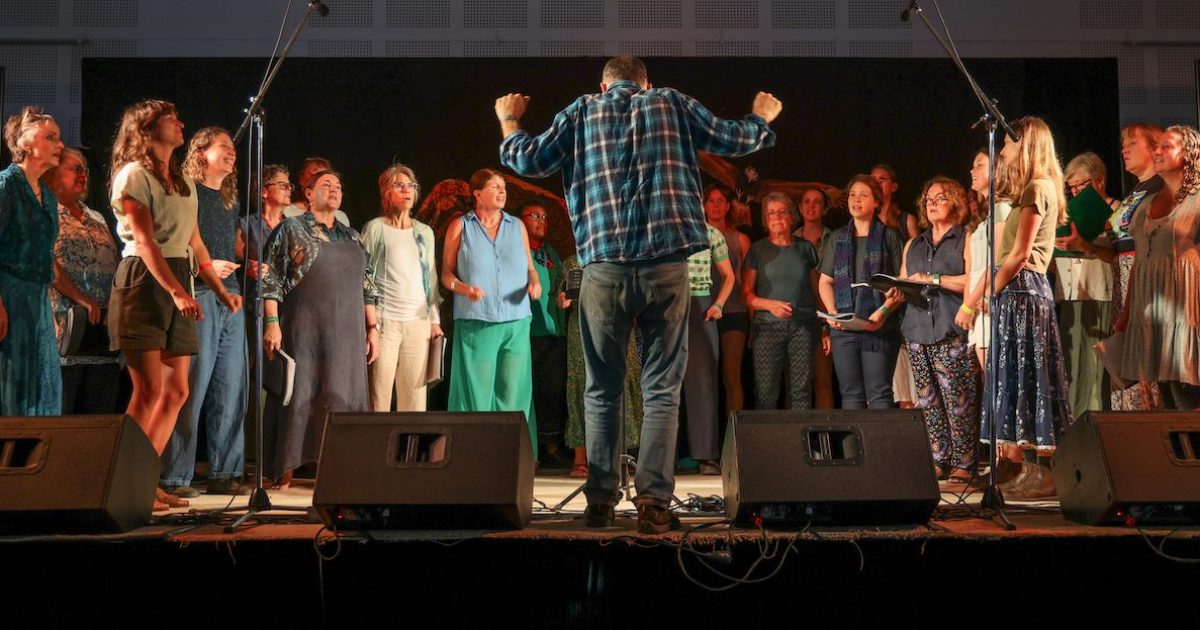 Stellar international and local line-up for Cobargo Folk Festival ...