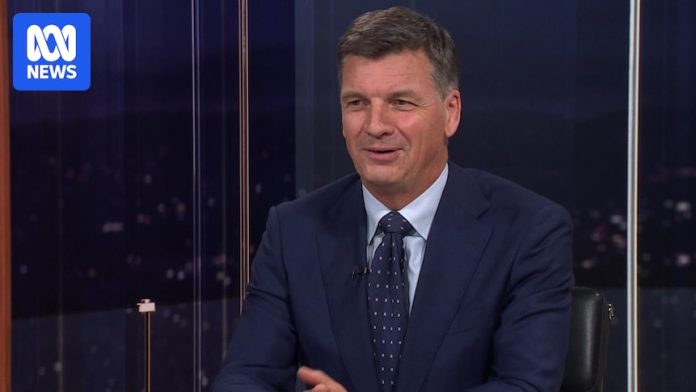 New Coalition leader Angus Taylor denies knowledge of Ley government ...