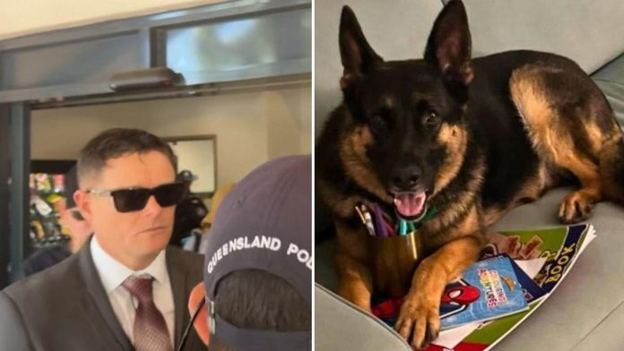 Queensland government weighs up appeal over sentence handed to dog ...