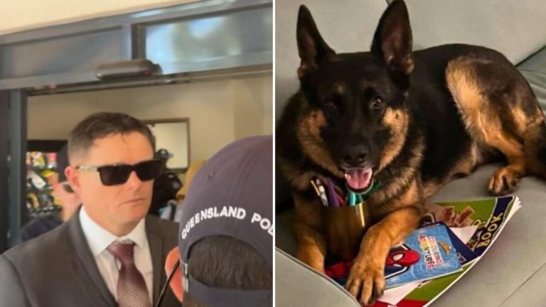 Queensland government weighs up appeal over sentence handed to dog ...