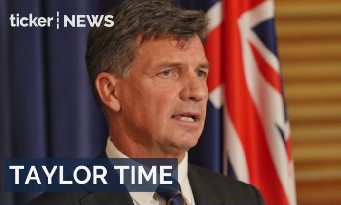 Angus Taylor elected Liberal leader after decisive ballot victory ...
