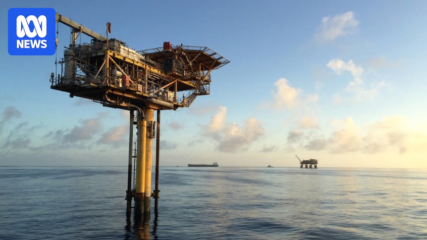 Vermilion's Wandoo gas exports halted after December oil spill ...