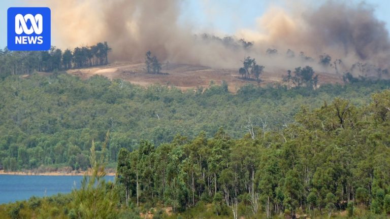 Alcoa's environmental record 'disappointing' says WA premier after $55m ...