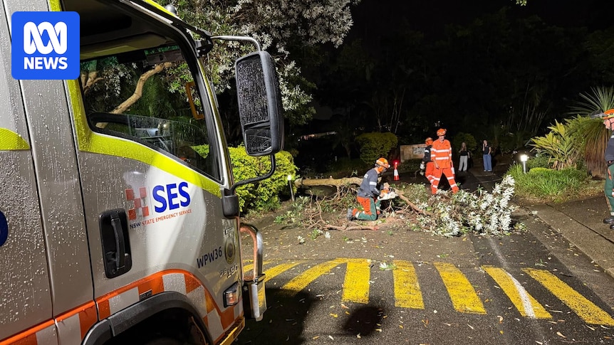 Severe storm causes 11,000 power outages and 400 calls for help in ...