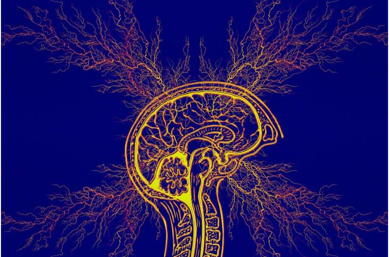 A new strategy to correct abnormal electrical activity - Australian ...