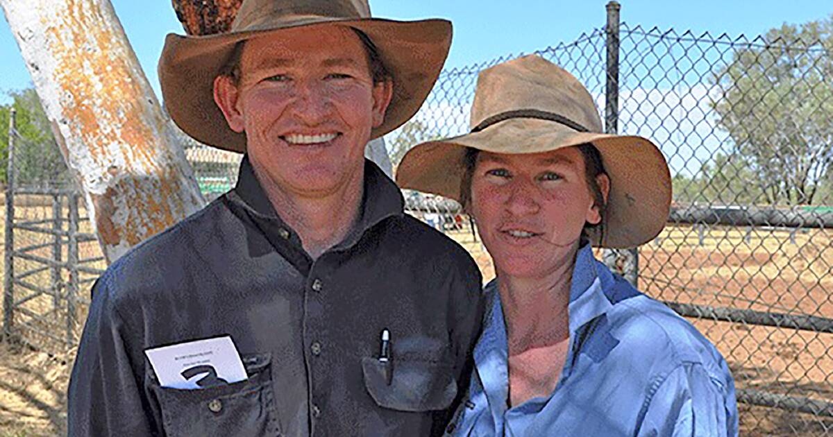 Chance to buy export-focused Kimberley cattle station walk-in walk-out ...
