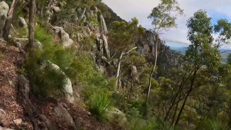 Helicopter response time under review after hiker dies after fall at Mt ...