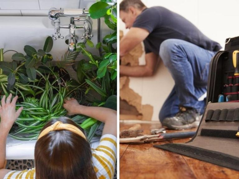 $25K hidden nightmare lurking in Aussie homes - Australian Online News