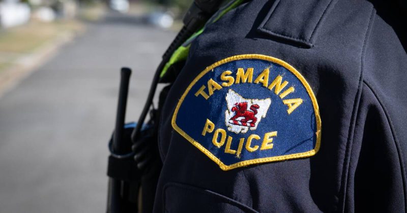Trainee police officer charged, stood down after internal investigation ...