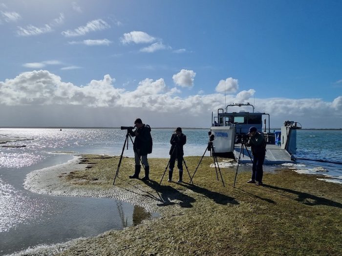 Star of the South launches bid to gain Australia's first offshore wind ...