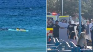 Hero lifeguard reveals swimmer did all the right things in Coogee shark ...