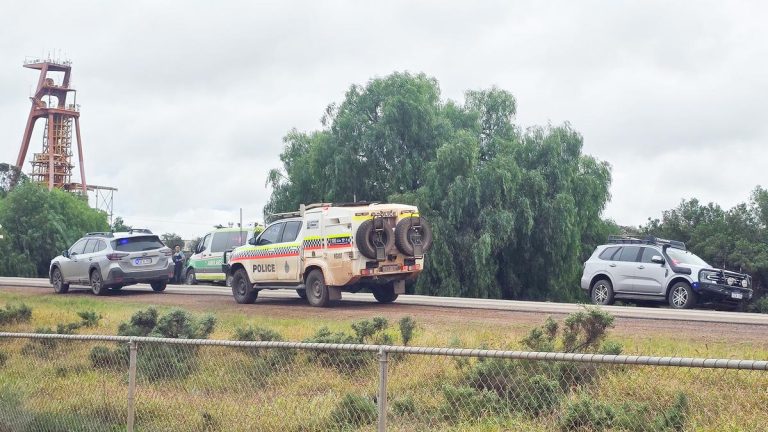 Police investigating after body found on side of Goldfields Highway ...