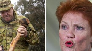 ‘Woke’: Pauline Hanson slams Department of Defence Indigenous weapons ...