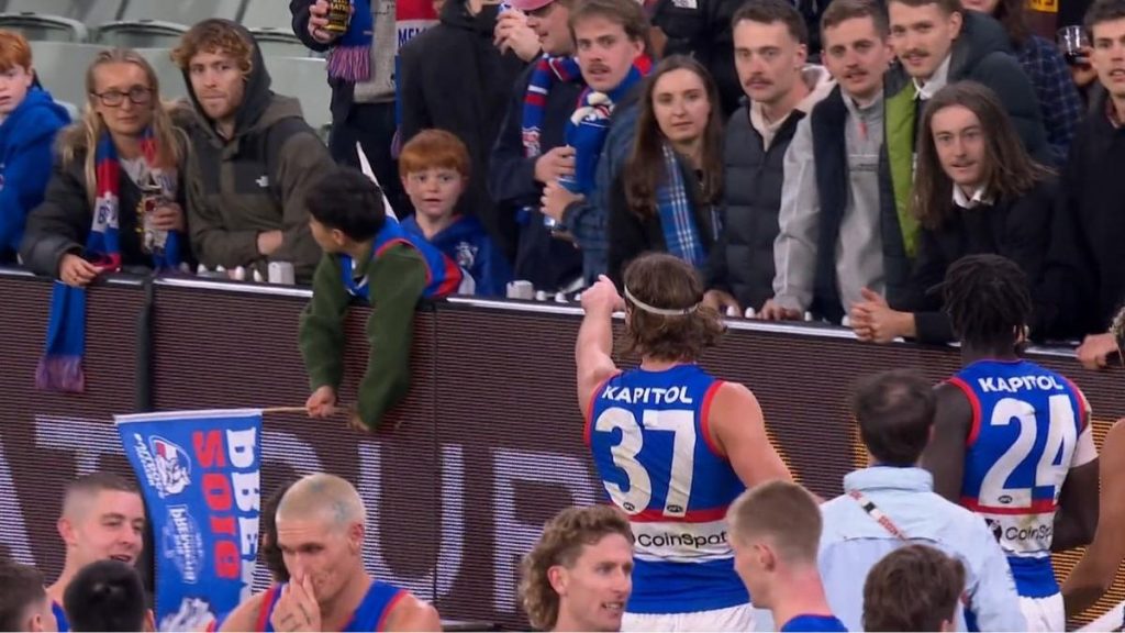 Hawthorn fan clashes with Bulldogs defender Michael Sellwood in ugly ...