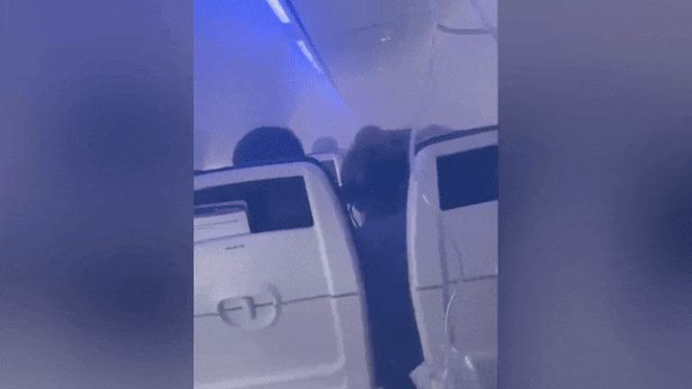 Bird strikes expose toxic flaw in Boeing 737s used in Australia ...