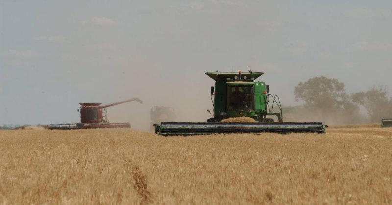 Cropping giant gets even bigger with Canadian-backed farming business ...