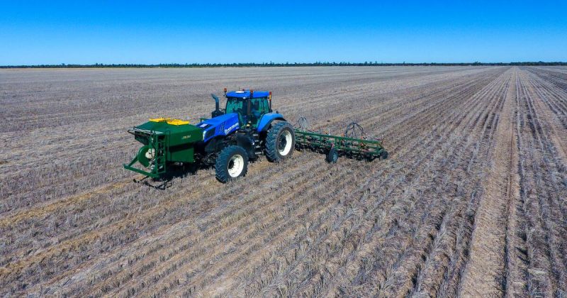 Auction: Burradoo presents as a top quality cultivation, cattle ...