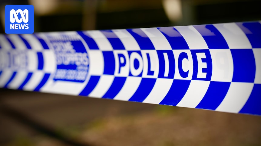 Man dies after car hits fallen tree following severe storms near Cowra ...